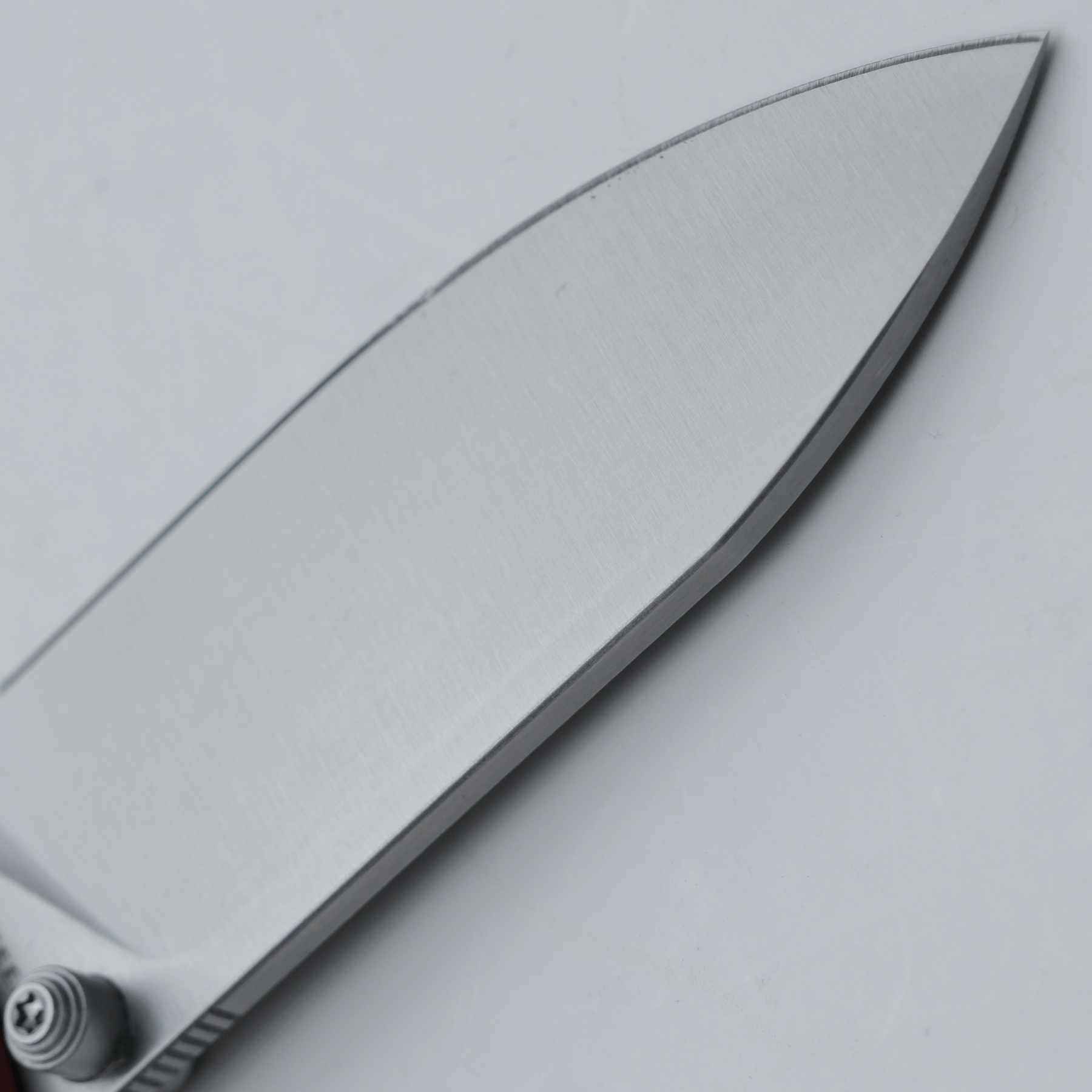 Raccoon - Button Lock Knife (3.25" 14C28N Blade & G10 Handle)– Vosteed